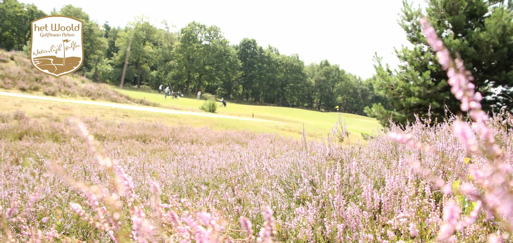 Home [golfbaanhetwoold.nl]